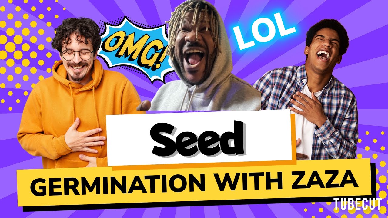 Seed Germination 101 With ZAZA |Tips And What You Didnt Know - YouTube