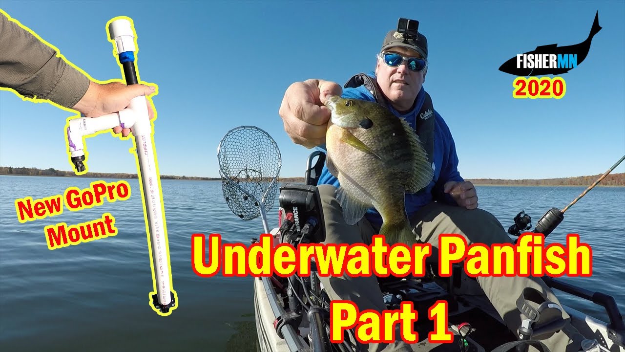 Underwater Panfish Part 1 New GoPro Mount - YouTube