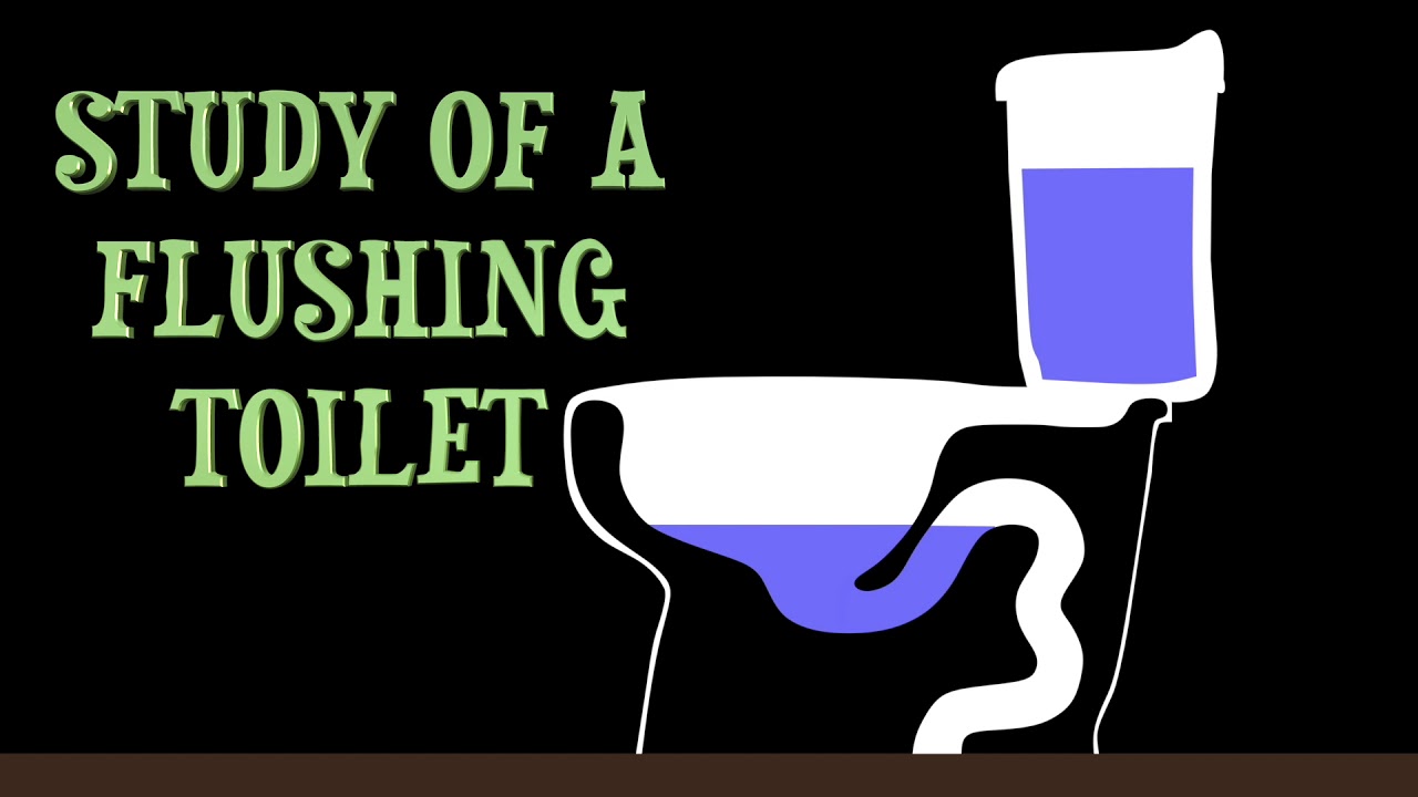Study of a Flushing Toilet - Animated! - YouTube