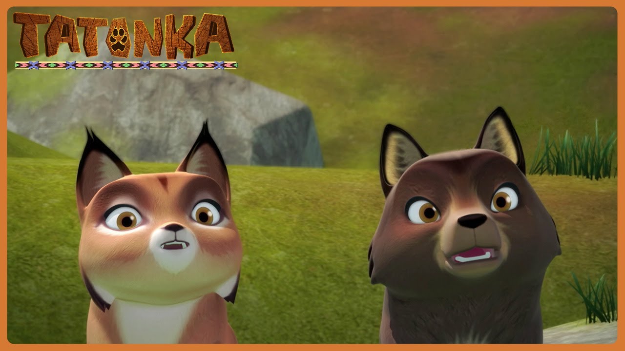 He Wants to Be a Wolf?! Cinksi’s Big Challenge 🐱🐺 | Tatonka - YouTube