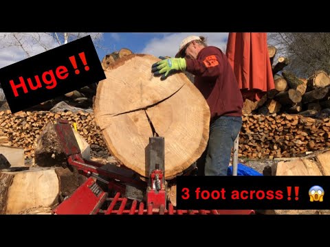Splitting HUGE!! Rounds with the Timberwolf TW-5 Commercial Log ...