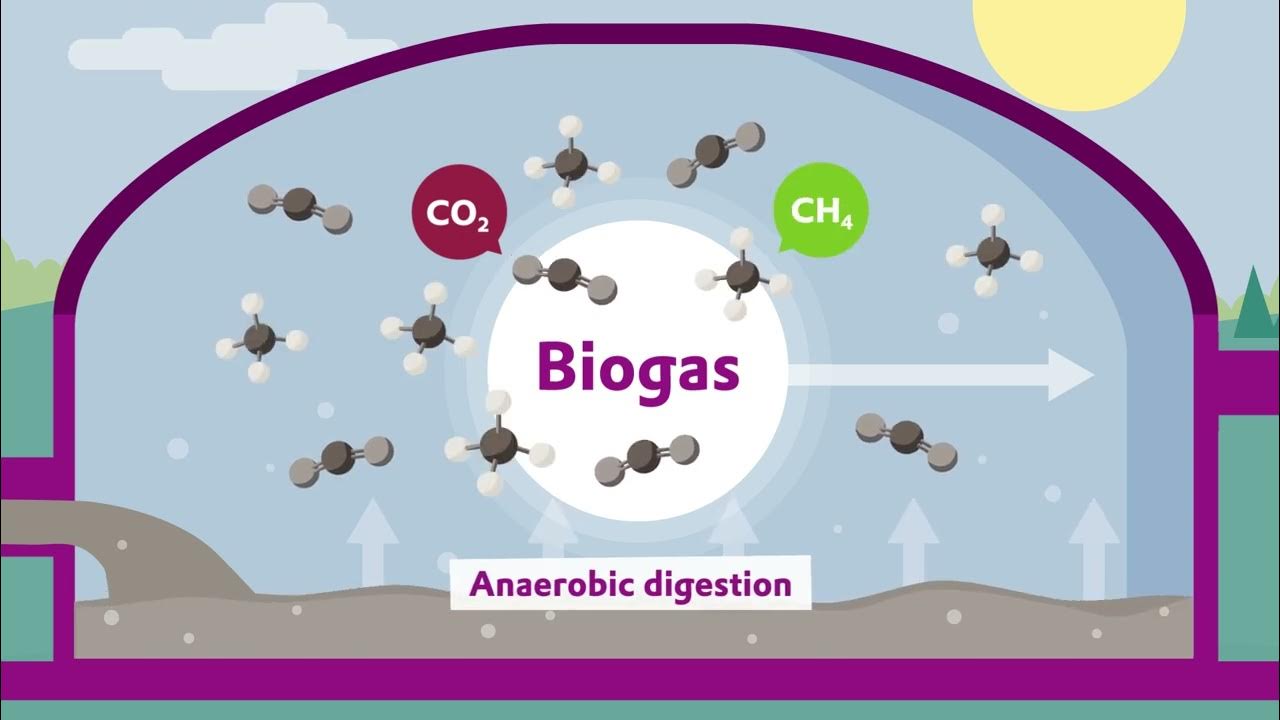 Upgrading of biogas to high-purity Bio-CO2 with SEPURAN® Green membranes | Evonik - YouTube