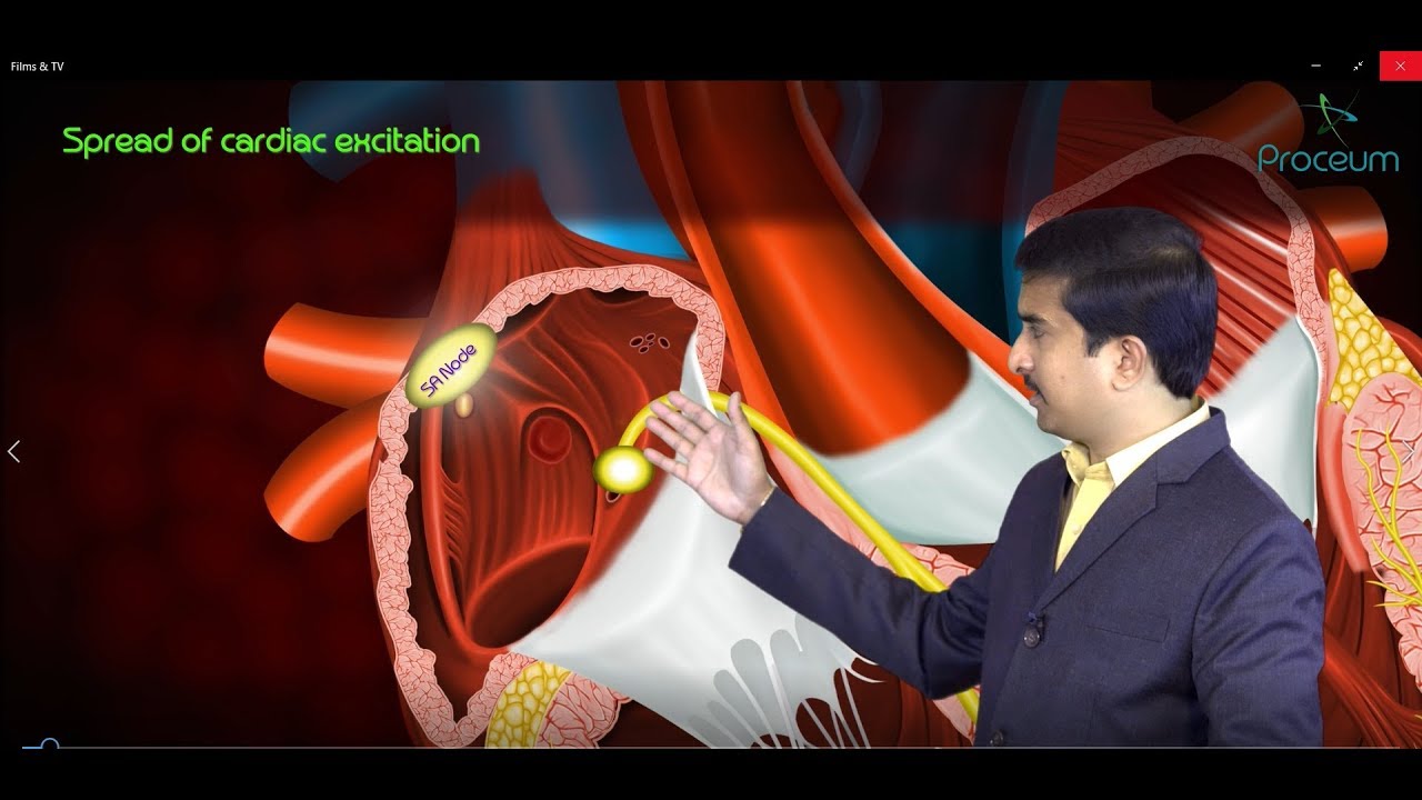 Action potential of cardiac muscle and SA Node - Usmle step 1 CVS ...