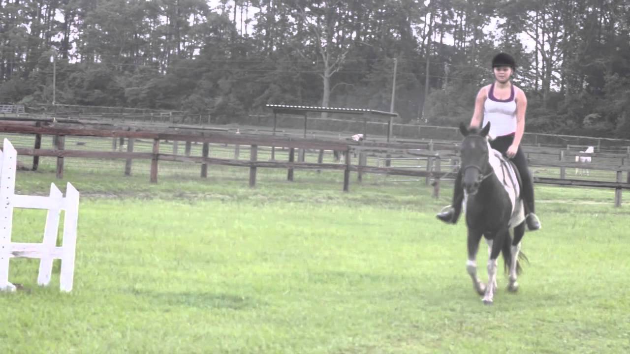 NOVA from Foxtrack - YouTube