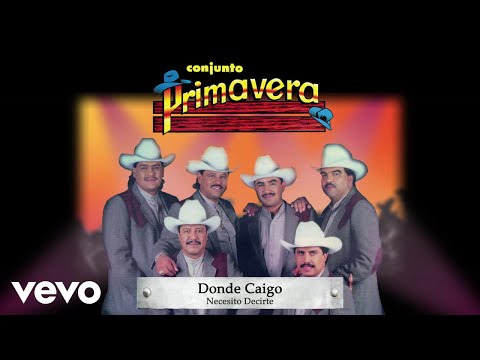Conjunto Primavera - Dónde Caigo (Animated Video)