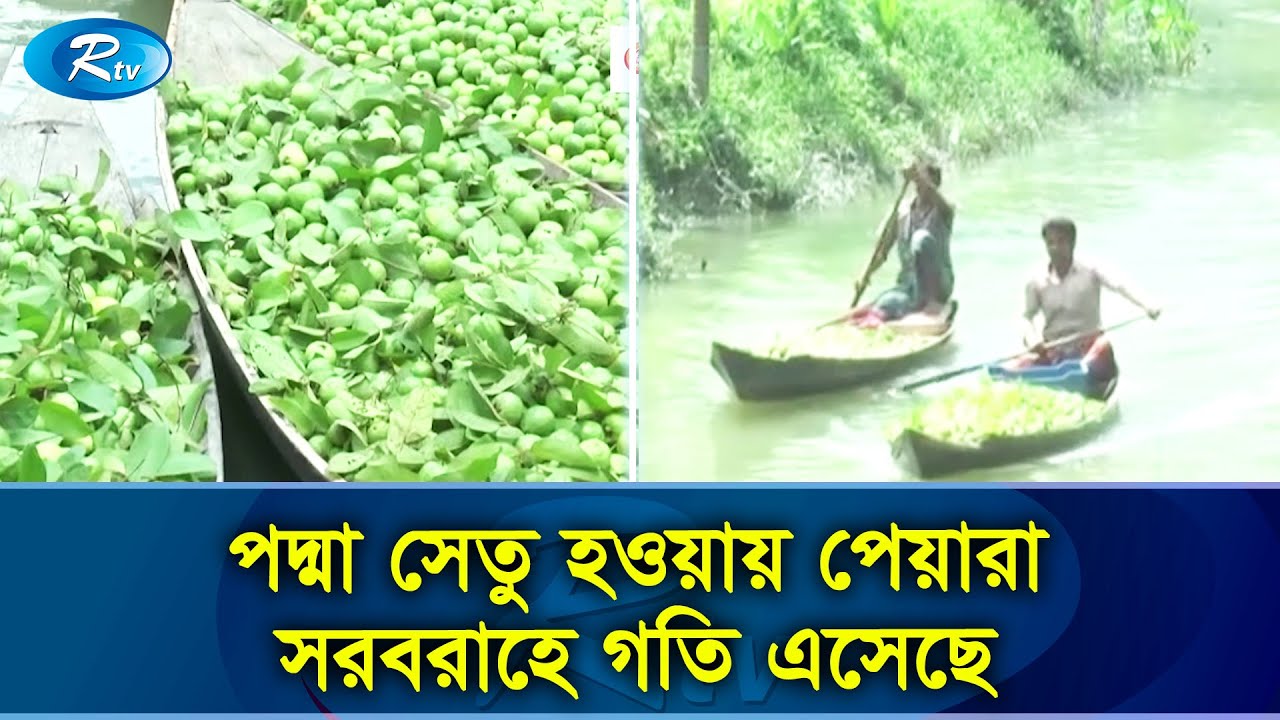পেয়ারার ভাসমান হাট ভীমরুলি | Guava Floating Hut | Bhimruli | Rtv ...