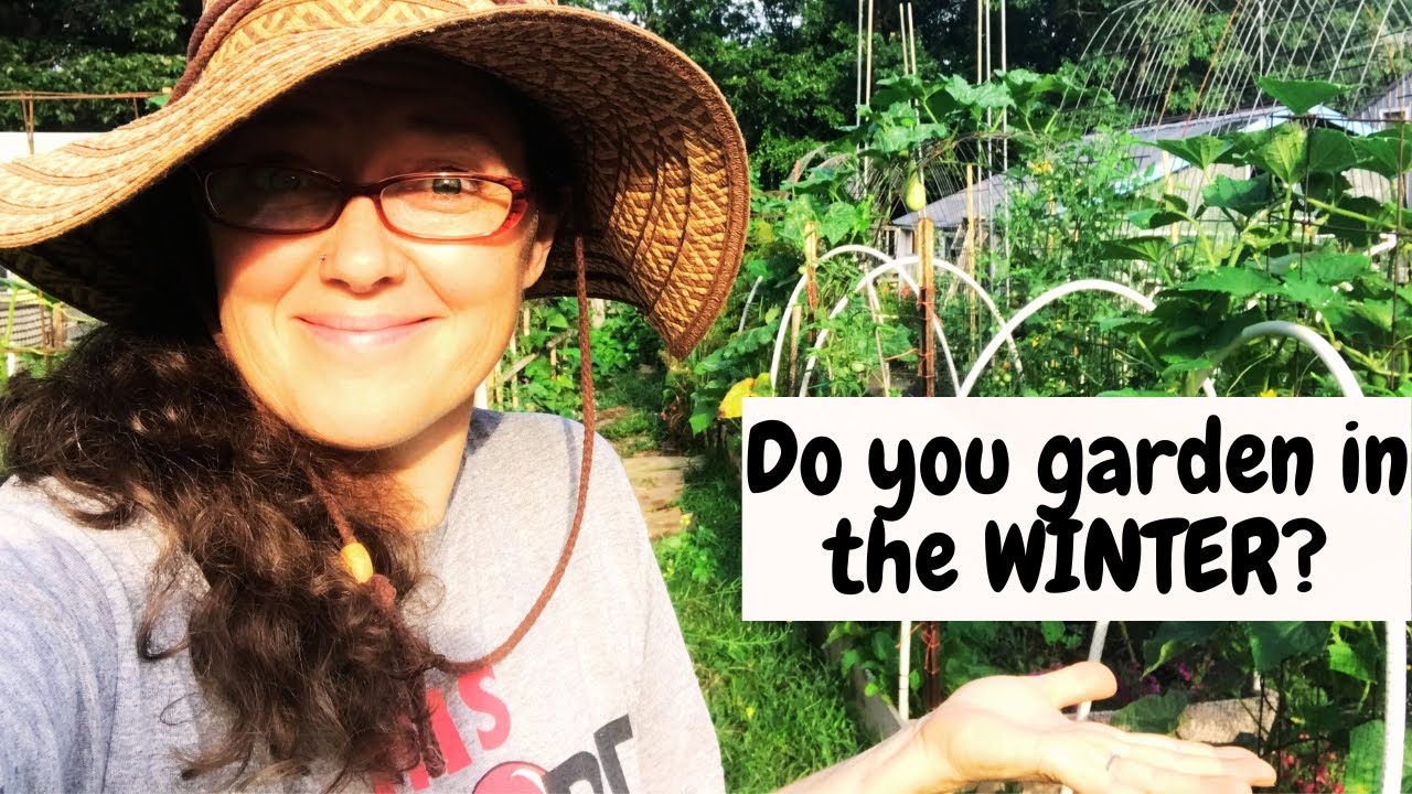 Mastering Winter Gardening: Tips and Tricks for a Flourishing Cold ...