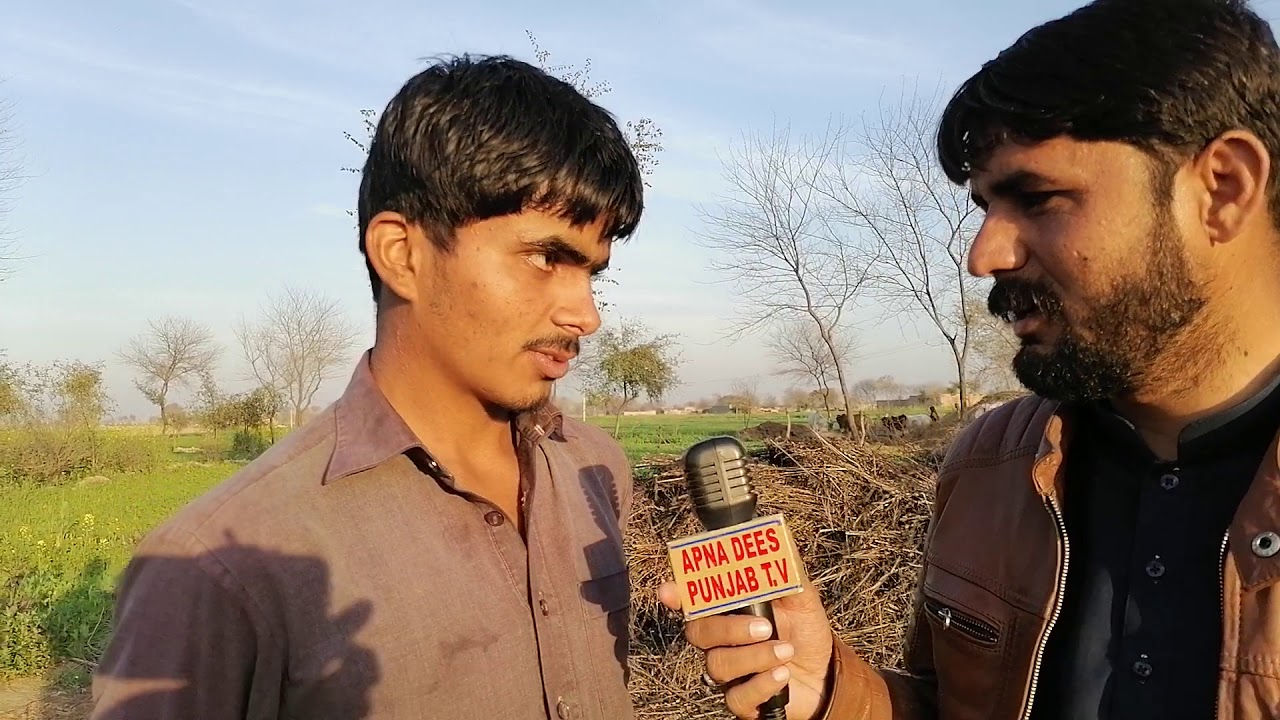 Neli Ravi Buffalow for sale in Pakistan on YouTube 21_2_2020 - YouTube