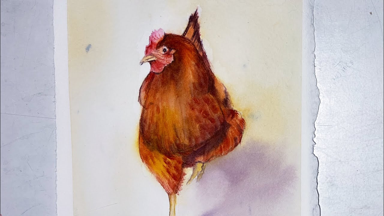 Watercolor Chicken Painting Tutorial - YouTube