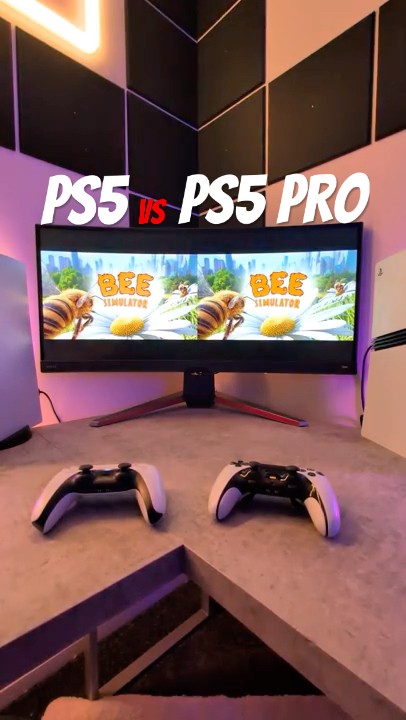 PS5 Pro vs PS5 Bee Simulator Boot Up Test - YouTube