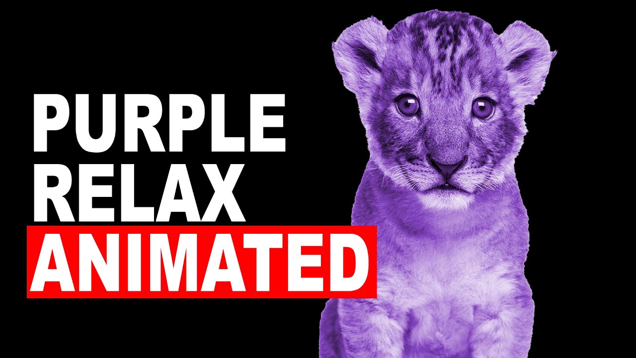 Animated Purple Immersive Relaxation - YouTube