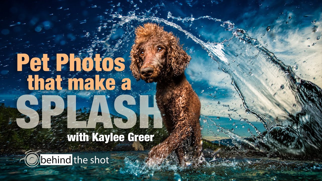 Pet Photos that Make a Splash with Kaylee Greer - YouTube