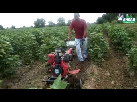 Angad Rotavator in Cotton Field - YouTube