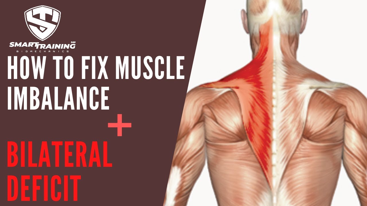 How To Fix Muscle Imbalance | Bilateral Deficit #DougBrignole # ...