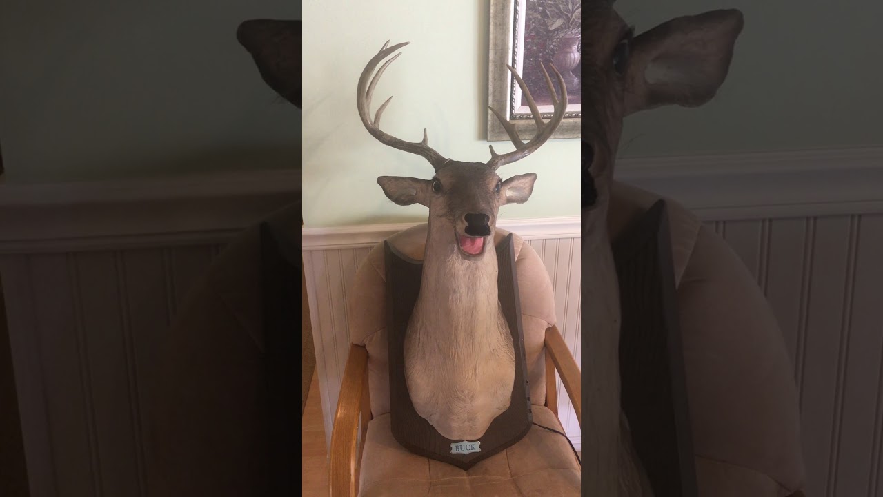 Buck The Singing Deer - YouTube