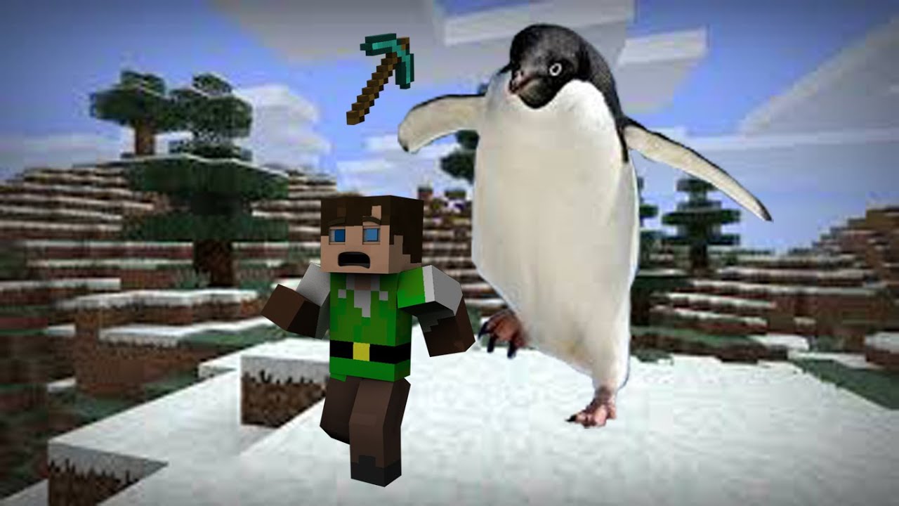 Minecraft: O PINGUIM VENCEDOR (Build Battle) - YouTube