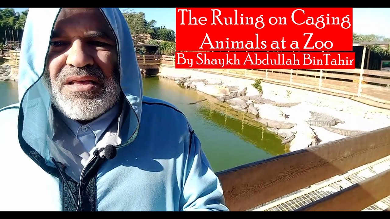 The Ruling on Caging Animals at a Zoo According the Maliki Madhab ...