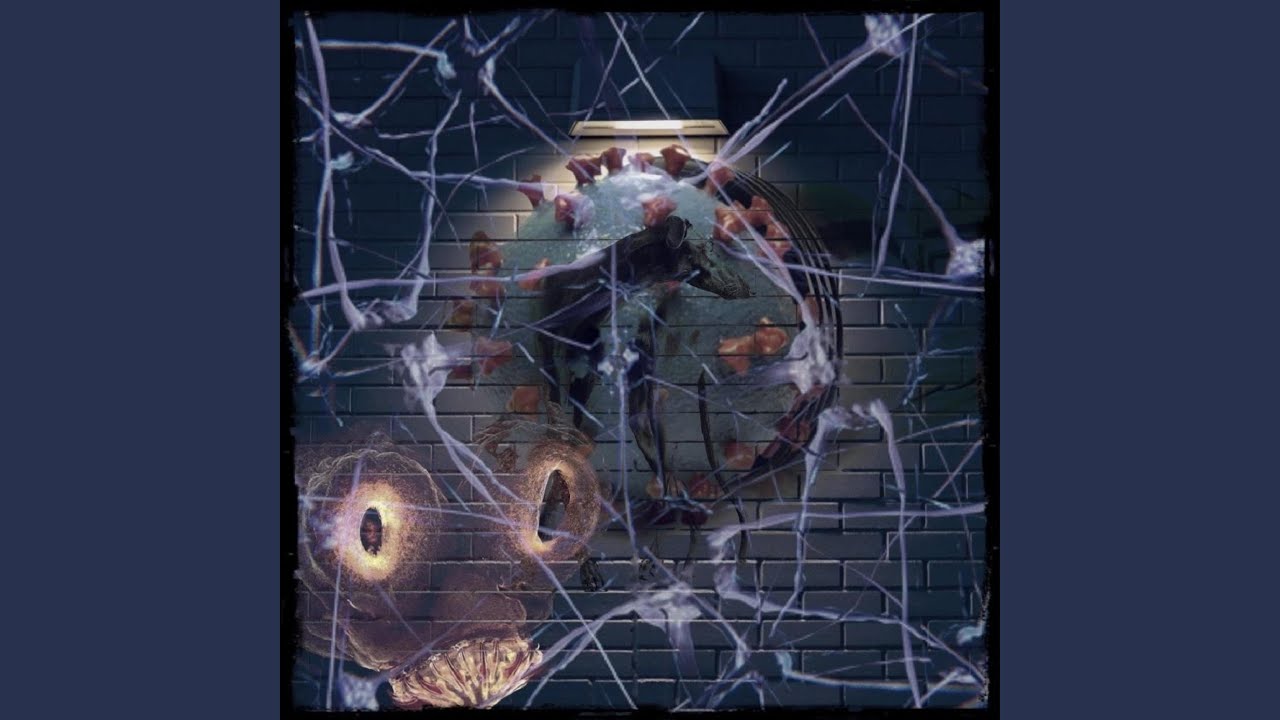 Death By Thighs - YouTube