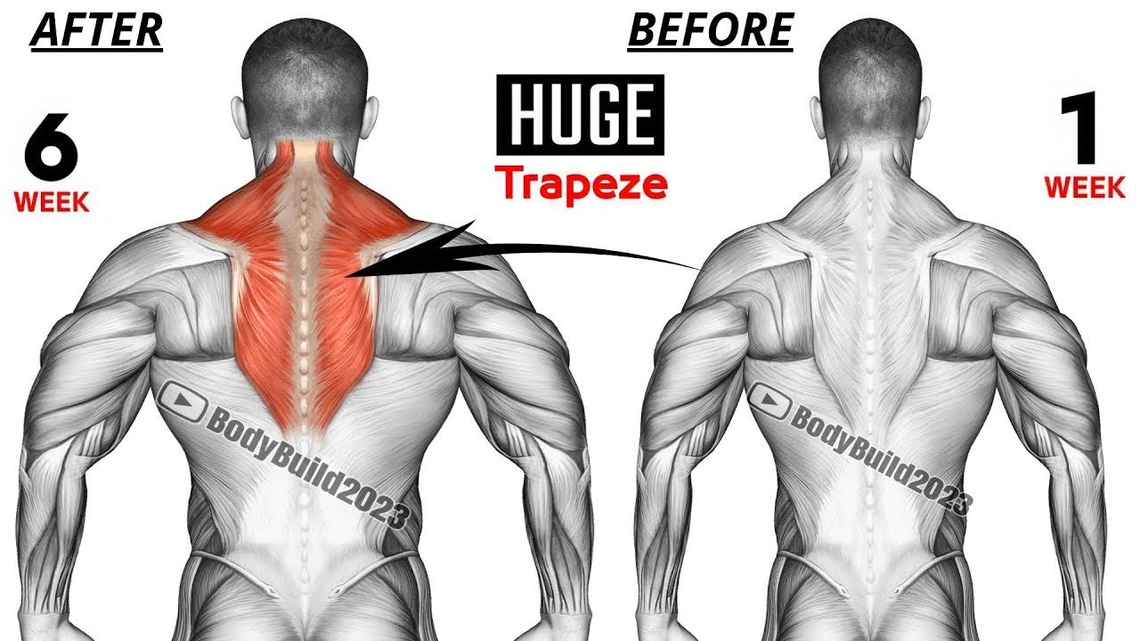 6 AMAZING EXERCISE TRAPS WORKOUT 🔥 - YouTube