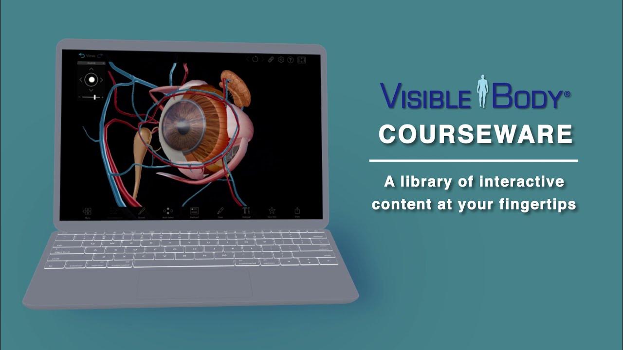 Visible Body Courseware | A library of interactive content at your fingertips - YouTube