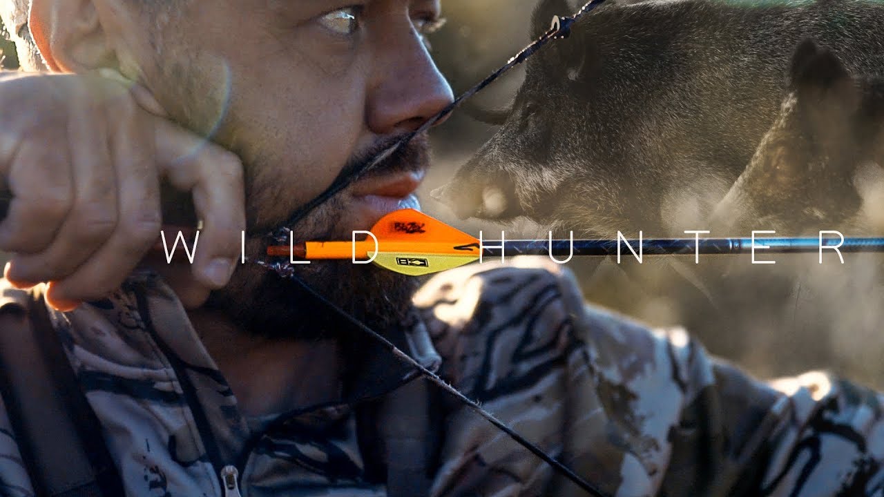 WILD Hunter- Wildboar Bowhunting I Serbia I - YouTube