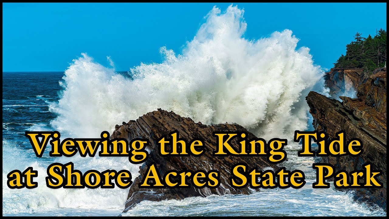Vewing the King Tide at Shore Acres State Park - YouTube