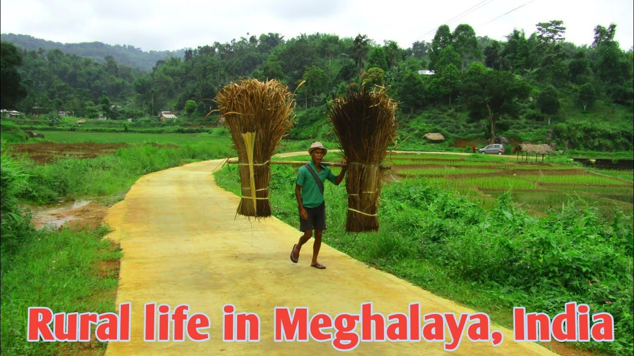Village life in Meghalaya, India | Beautiful rice fields | Marngar ...