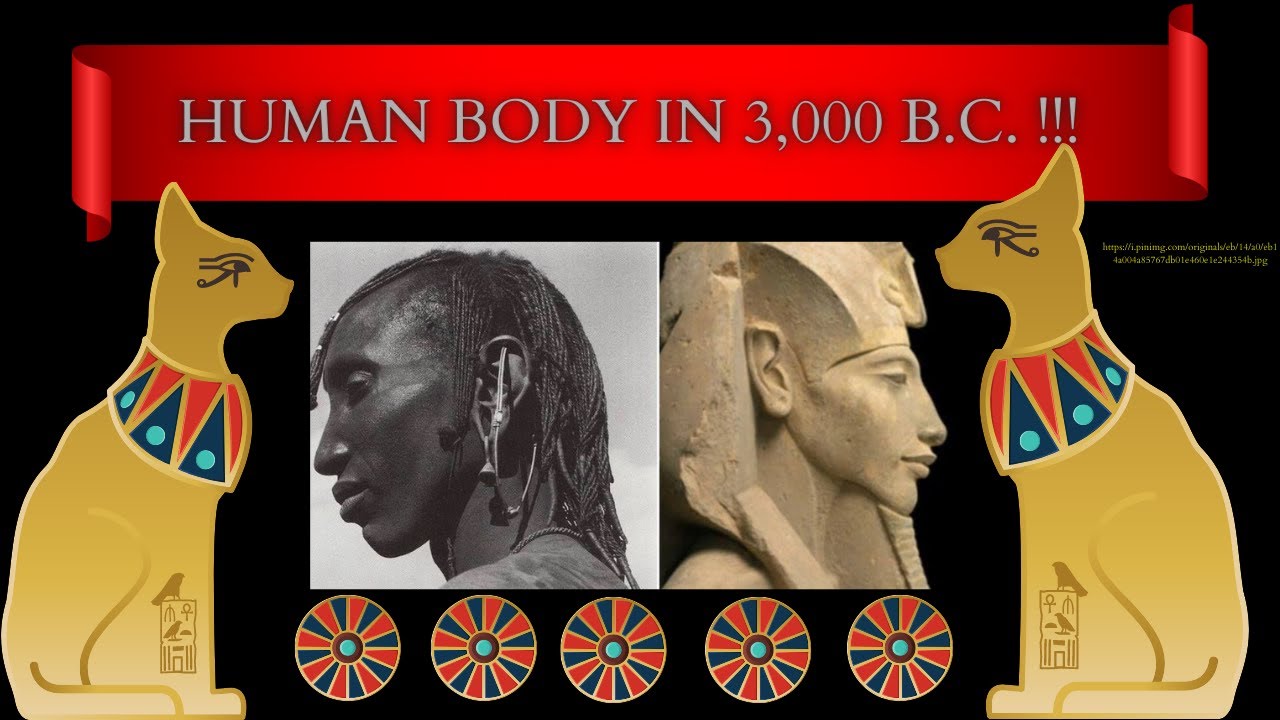 THE HUMAN BODY IN 3000 BC?!?!?!?! - YouTube