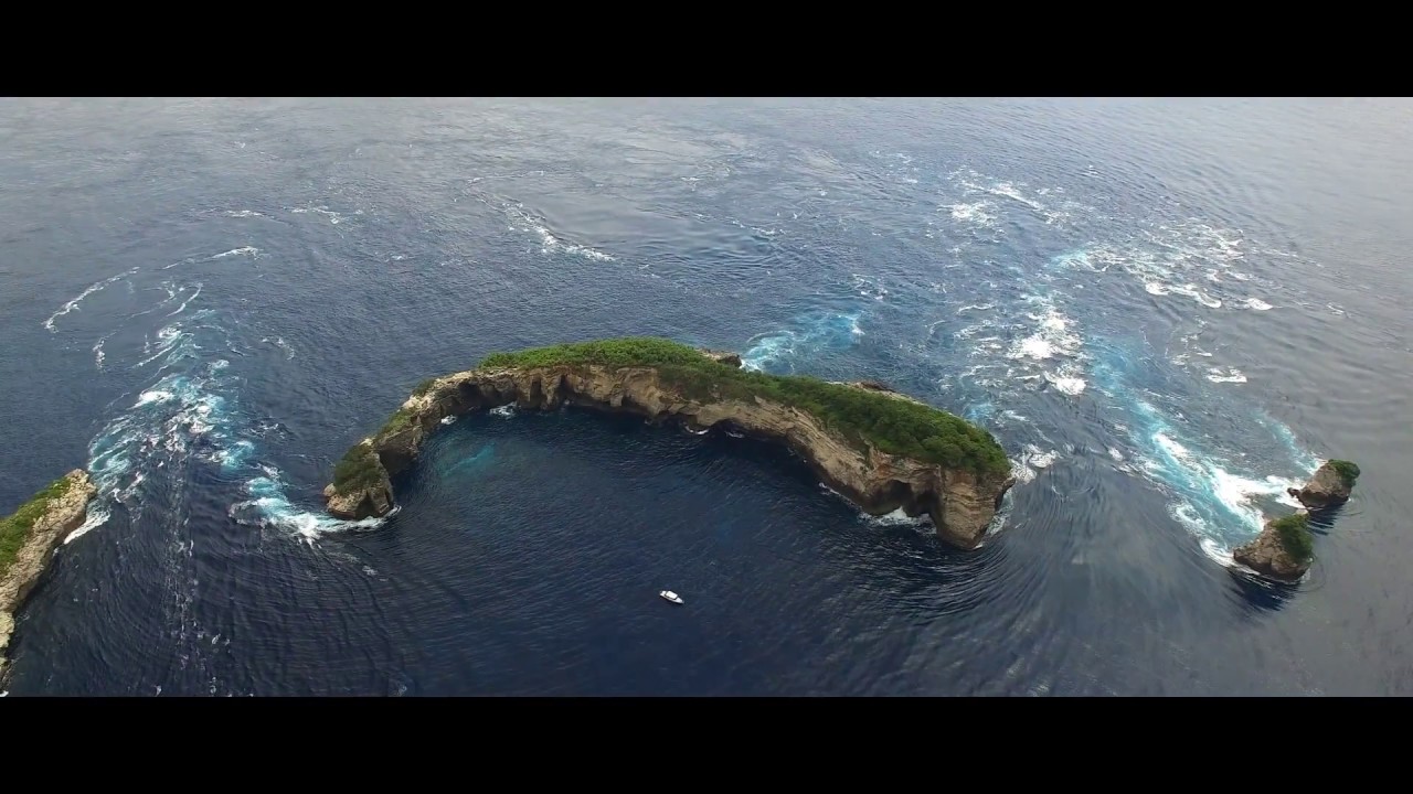 GRAMPUS IN BALI , GT FISHING - YouTube