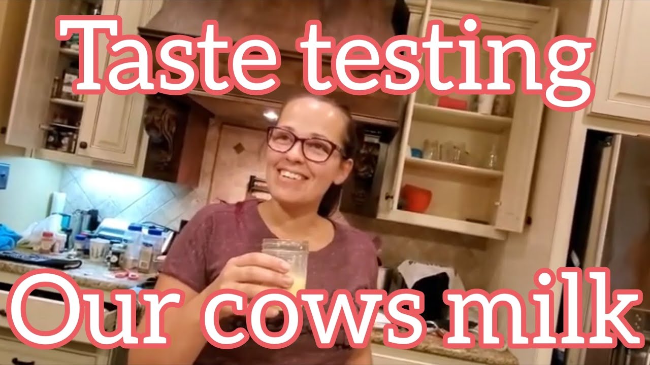 Taste Testing Our fresh Whole milk - YouTube