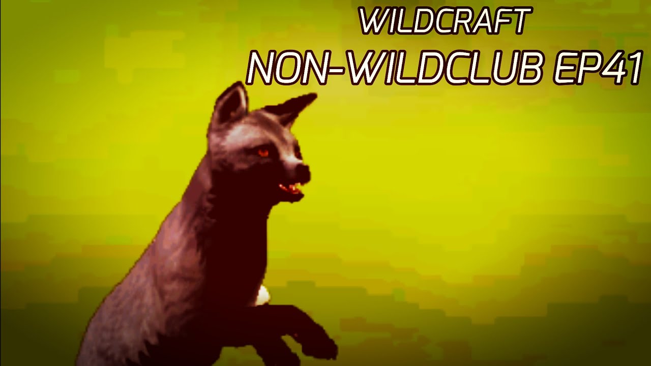 A new fox pup | Wildcraft Non-Wildclub | Episode 41 - YouTube
