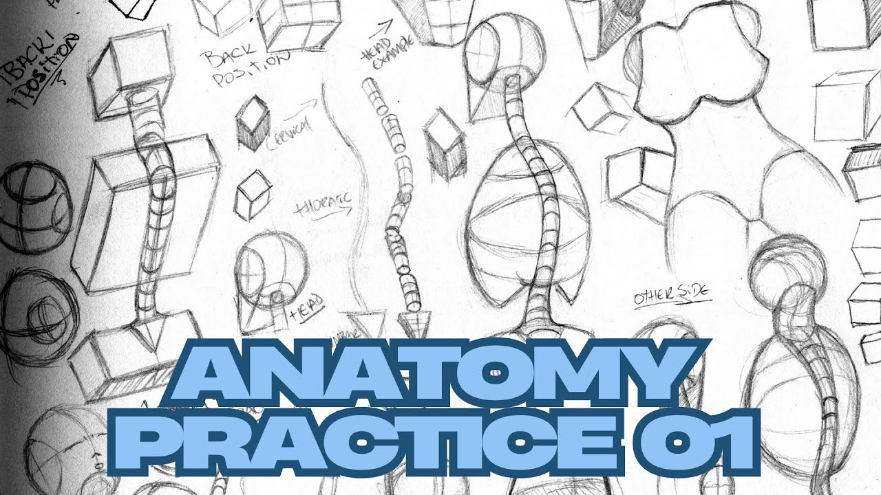 Draw with me | Anatomy Practice | DAY 01 | Mangaka's Journey - YouTube