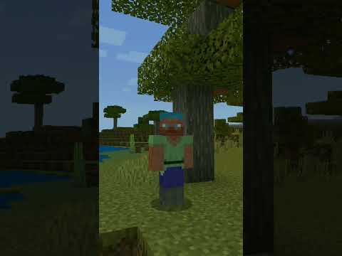 Minecraft Kalo Lihat Warna Biru Harus Liatin Wajah #minecraft #shorts ...