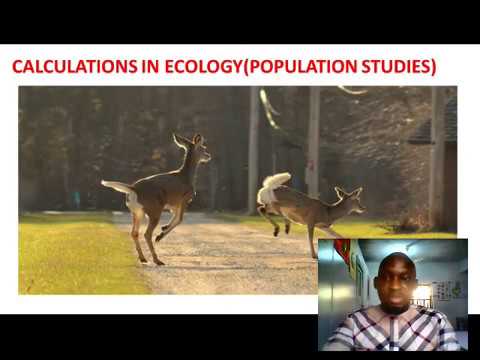 CALCULATIONS IN ECOLOGY(POPULATION STUDIES) - YouTube