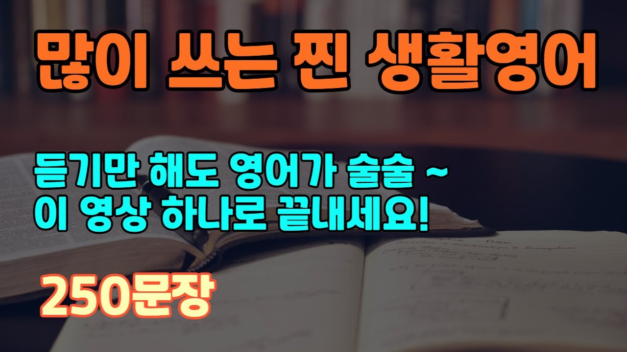 생활영어 기초영어회화 250문장 반복듣기 흘려듣기 듣고 따라하기영어회화 영어듣기 영어공부 일상영어 17