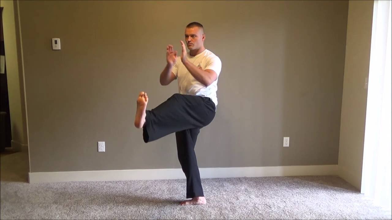 24 Step 15 Turn Body and Left Heel Kick - YouTube