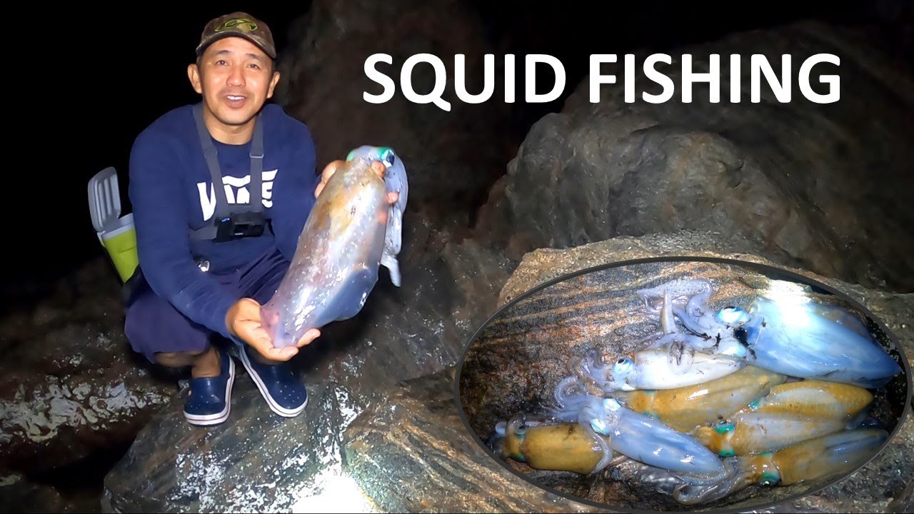 Squid Fishing | Hunting for Squid - YouTube