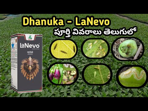 #Dhanuka LaNeVo పూర్తి వివరాలు తెలుగులో Full details #dhanuk Lanevo ...