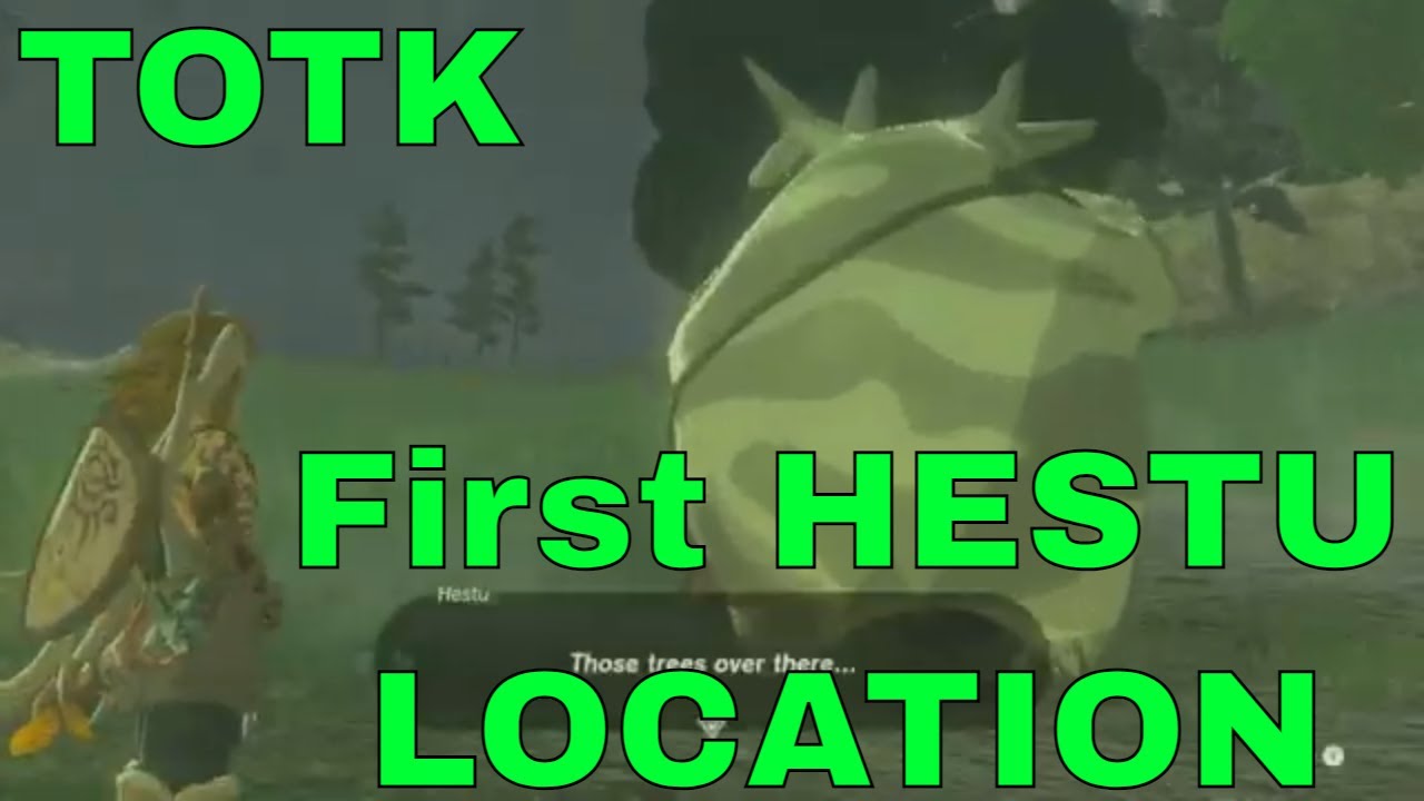 Legend of Zelda Tears of the Kingdom - WHERE IS HESTU - FIRST LOCATION ...