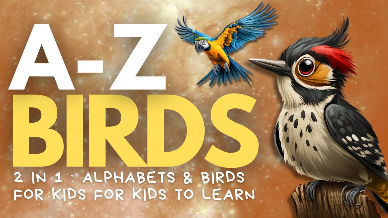 ABC Birds Adventure: Immersive picture learning experience - YouTube