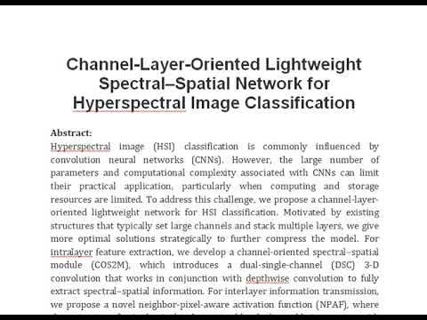Channel Layer Oriented Lightweight Spectral–Spatial Network for Hyperspectral Image ...