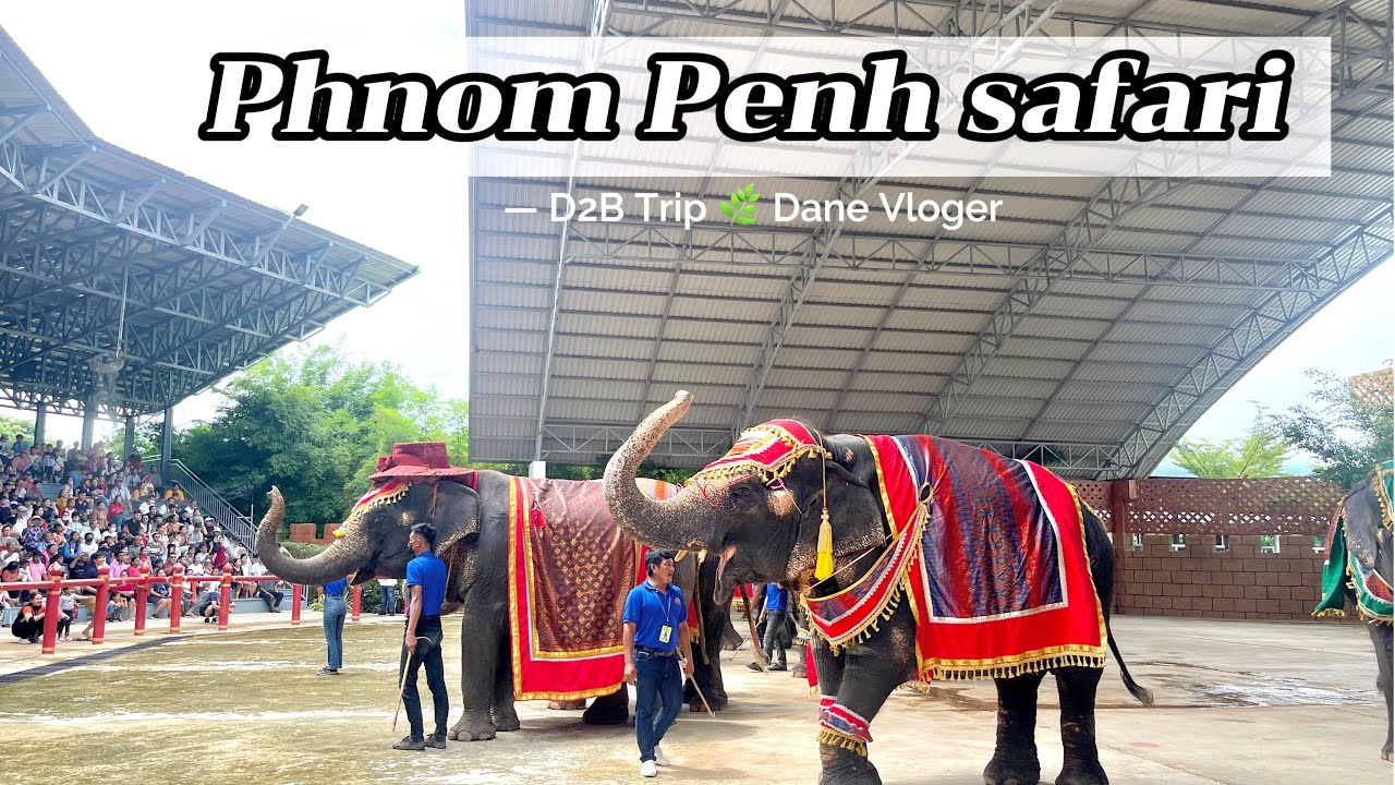 Vlog ទស្សនា សួនសត្វ Phnom Penh safari Vlog/ By Dane ដាណេ - YouTube