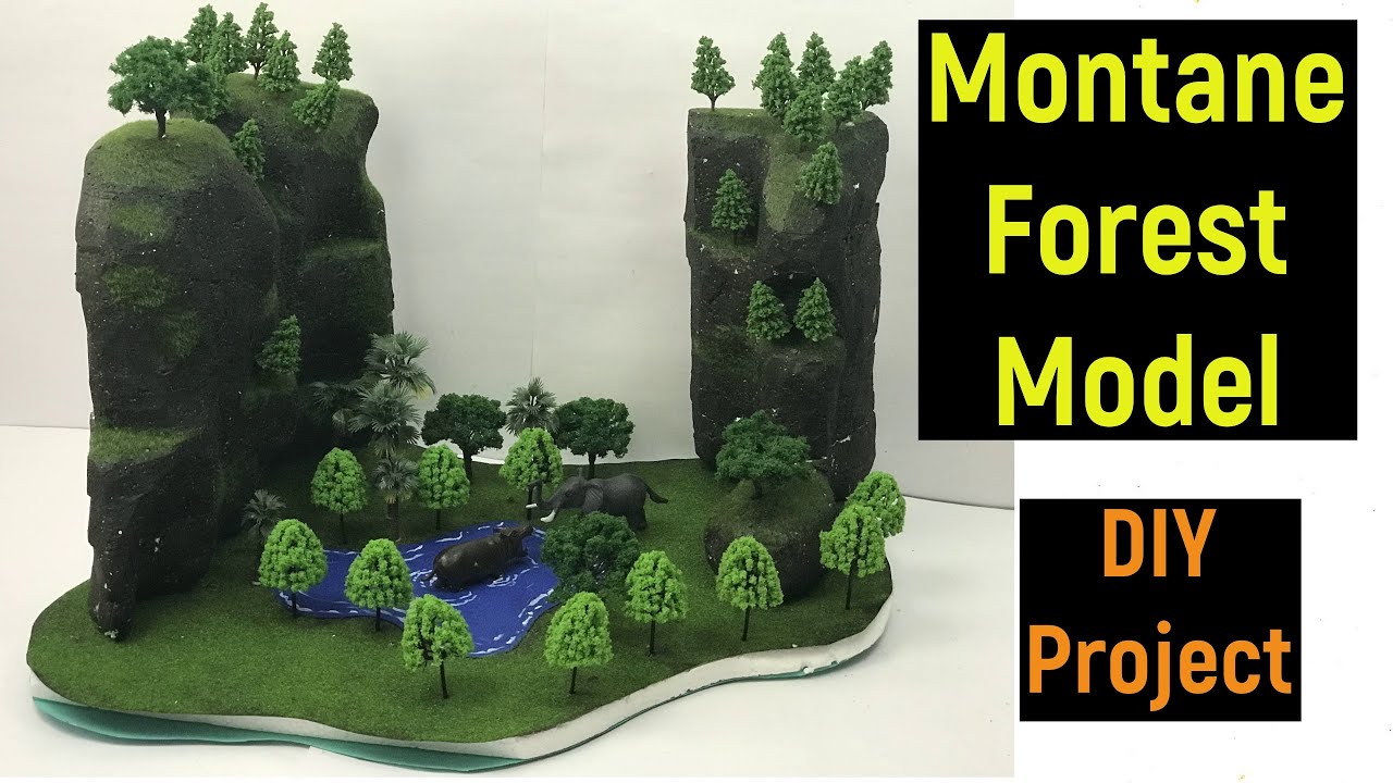 montane forest - montane forest model - forests of India - diyas ...