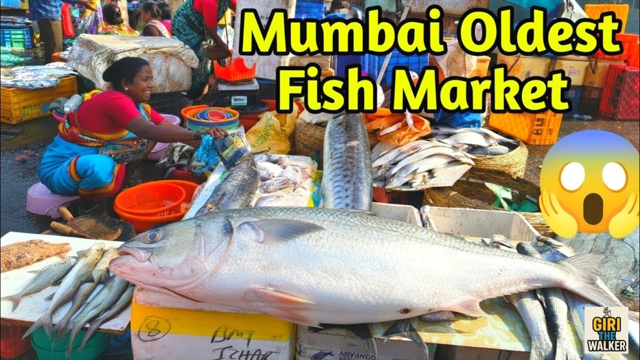 Unseen 😱 Mumbai Biggest & Oldest Fish Market🔥 | Urban India 🇮🇳 | Giri ...