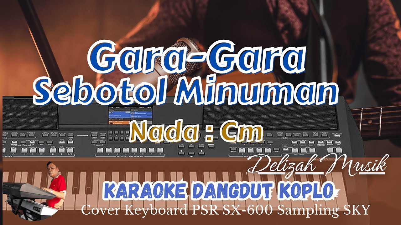 GARA-GARA SEBOTOL MINUMAN || Safei Sroop || KARAOKE DANGDUT KOPLO - YouTube