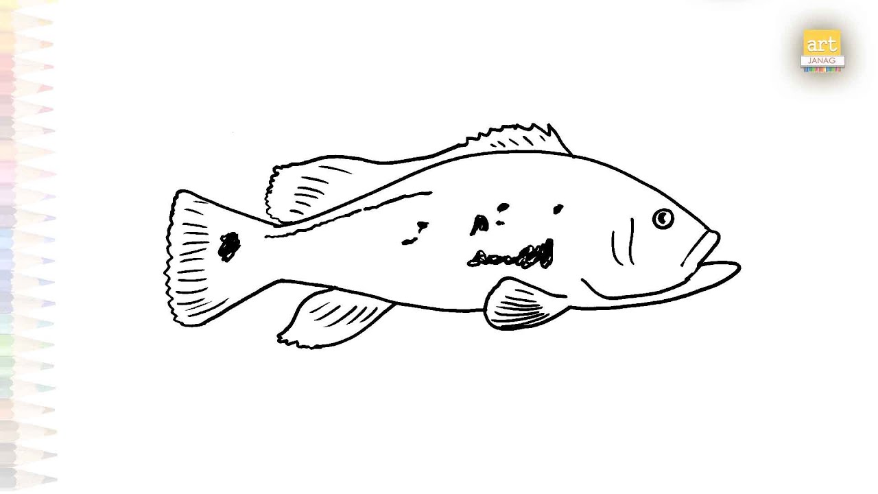 Butterfly Peacock Bass drawing easy | Fish drawings | How to draw ...