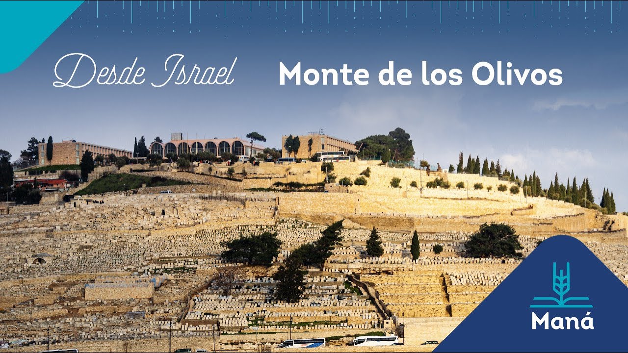 Monte de los Olivos Entrada a Jerusalén - YouTube
