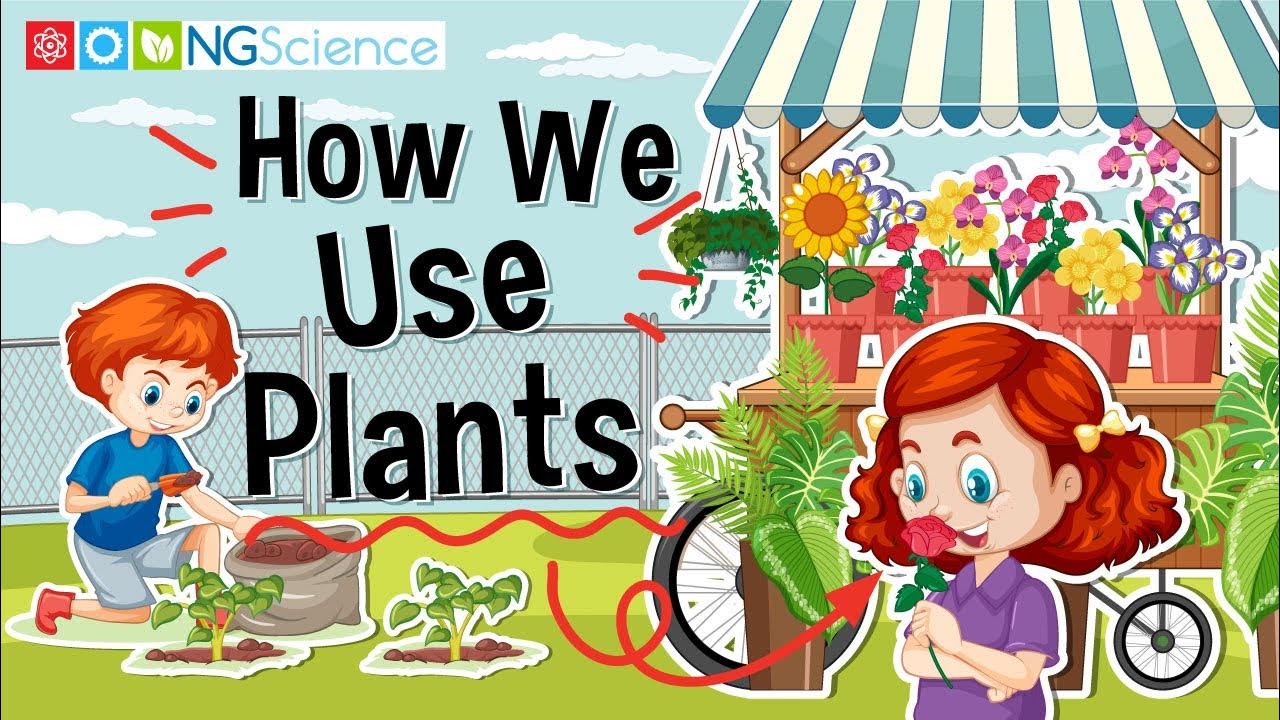 How We Use Plants - YouTube