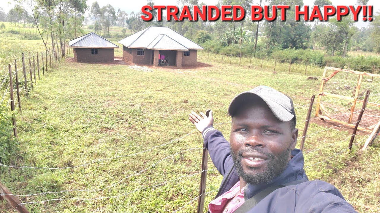 PERFECT SUGGESTION PLAN FOR MAMA ALEX CHARITY PROJECT!!#charity - YouTube