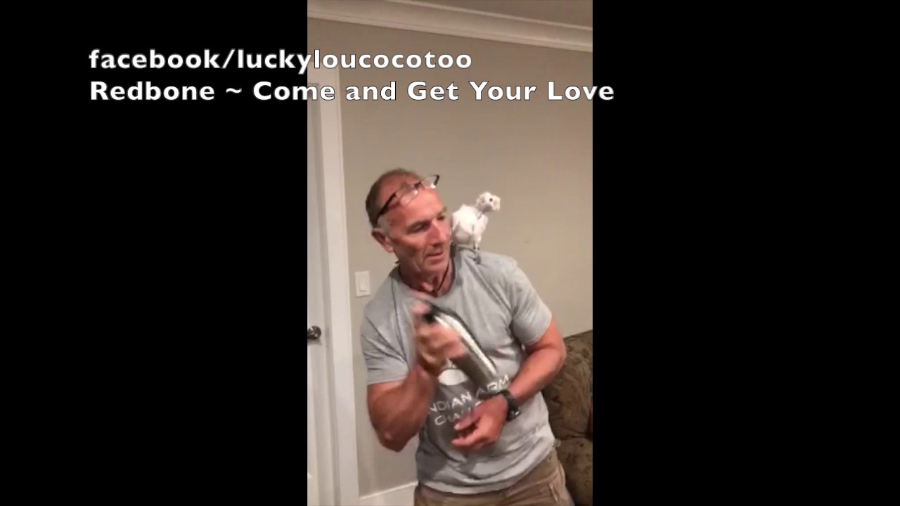 Coco is The Life of the Party - YouTube